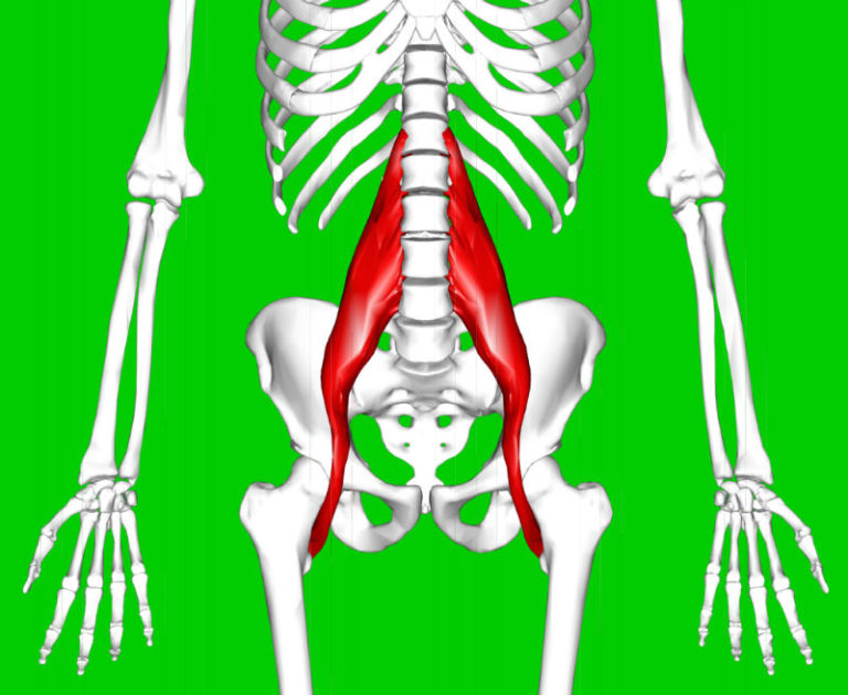 Psoas Muscle Pain Symptoms and Treatment for Quick Relief