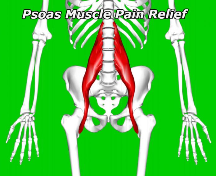 Psoas Muscle Pain Relief with 1 Quick Fix