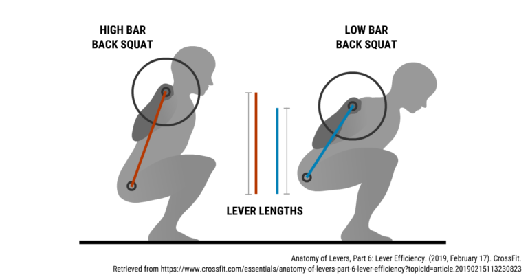 High Bar vs Low Bar Squat: Powerlifting Program Secret - Physiqz