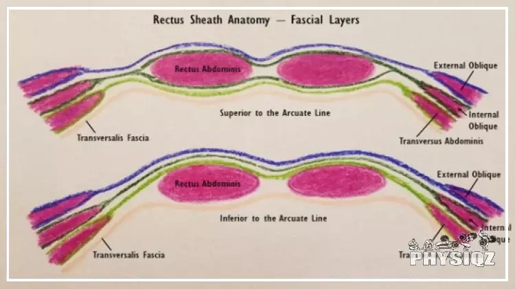 Check if You Have Bad Ab Genetics (or Just Making This Simple Mistake)